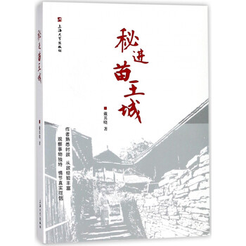 秘进苗王城