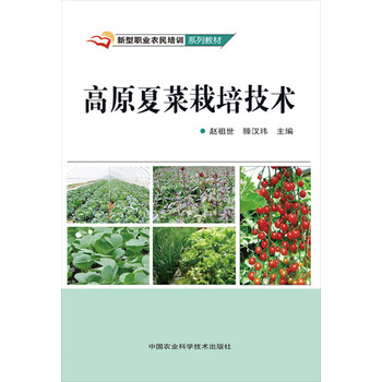高原夏菜栽培技术