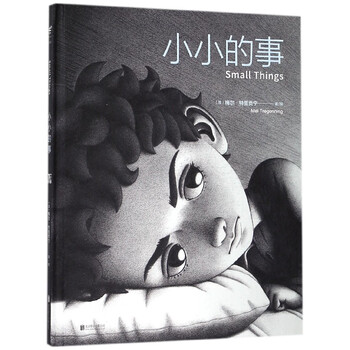 小小的事(精)
