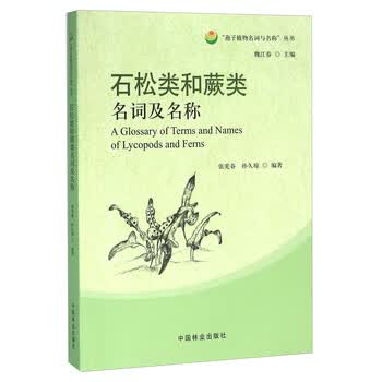 石松类和蕨类名词及名称