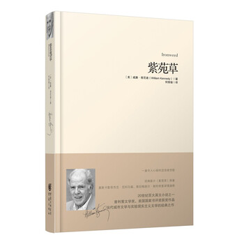 经典电影文学：紫苑草