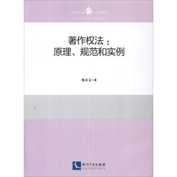 著作权法：原理、规范和实例