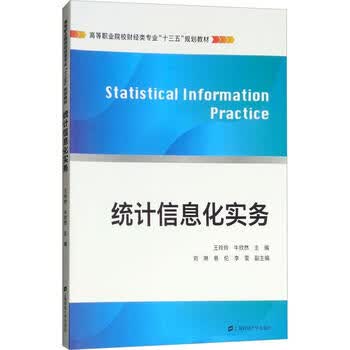 统计信息化实务