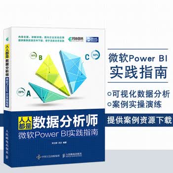 人人都是数据分析师 微软Power BI实践指南