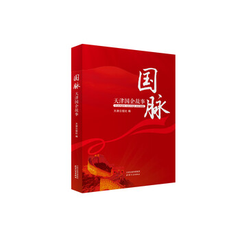 正版 国脉:天津国企故事 9787201104775
