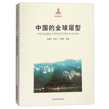 中国的全球层型9787547828748上海科学技术