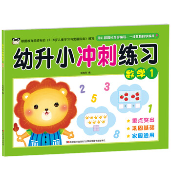 幼升小冲刺练习 数学1