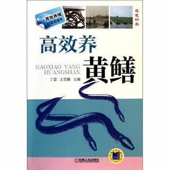 高效养黄鳝 丁雷