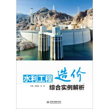 水利工程造价综合实例解析