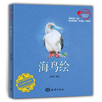 海鸟绘