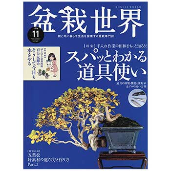 【包邮】【订阅】盆栽世界 盆栽景观杂志 日本日文 年订12期E360原版