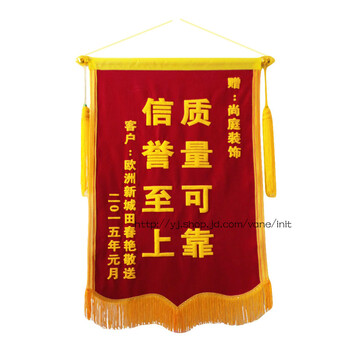 锦旗定做 定制作送医院医生学校幼儿园老师月嫂物业律师锦旗创意搞笑生日派对锦旗订做包邮 80*130cm金丝花边发泡字