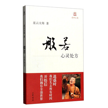 般若：心灵处方9787101073171中华书局