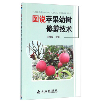 图说苹果幼树修剪技术
