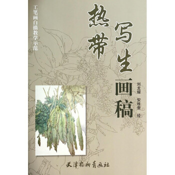 热带写生画稿(工笔画白描教学示范)