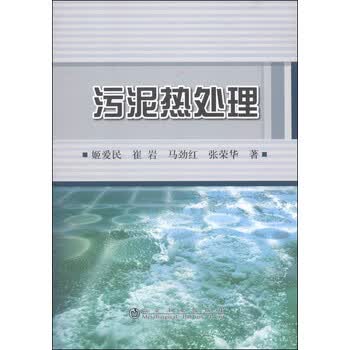 污泥热处理