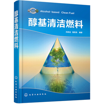 醇基清洁燃料