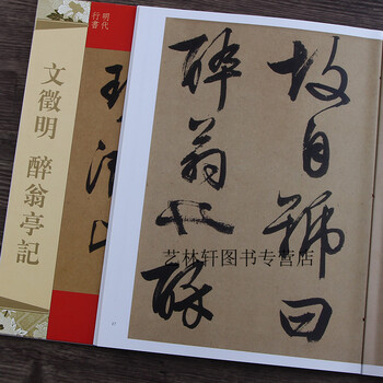 文徵明草书 醉翁亭记 天下墨宝 吉林文史出版社 明代文征明行书字帖字贴 文征明字帖 行书 