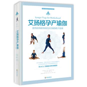  艾扬格孕产瑜伽9787544367424