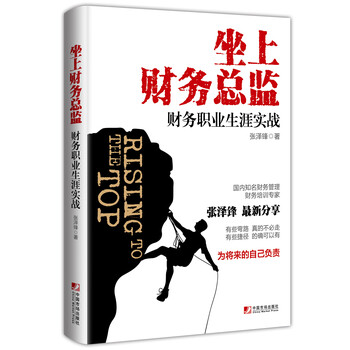 坐上财务总监：财务职业生涯实战