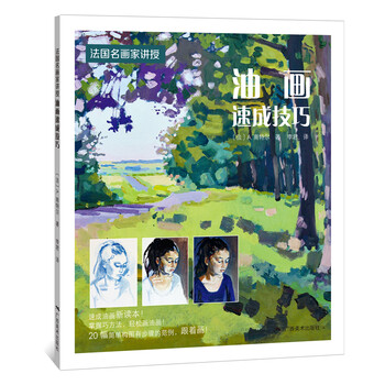 正版 油画速成技巧-法国名画家讲授9787549416127
