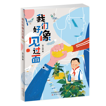 我们好像见过面 (一部爱的教育，霹雳贝贝作者张之路全新力作)