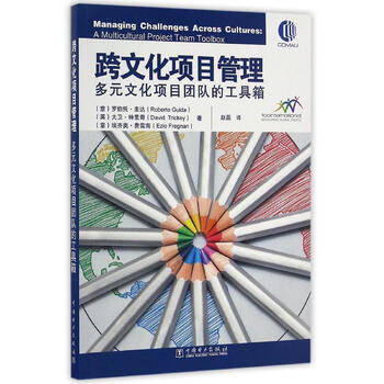 跨文化项目管理 多元文化项目团队的工具箱