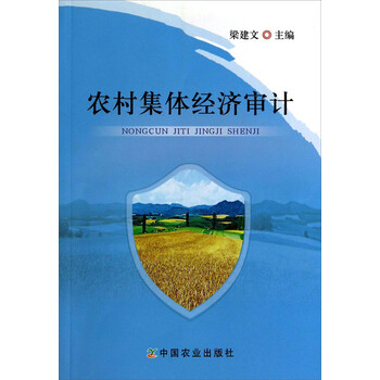 农村集体经济审计