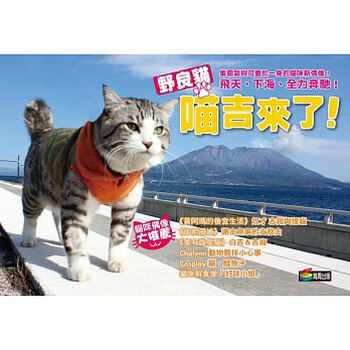 野良貓喵吉來了！
