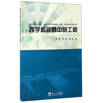 跨学科视野中的工程