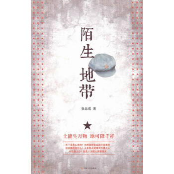 陌生地带 小说 书籍