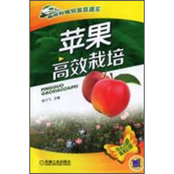 苹果高效栽培