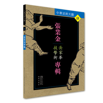 正版 张业金专辑:岳家拳技击术 9787535285959
