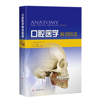 [正版图书]口腔医学解剖图谱