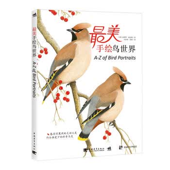 *手绘鸟世界
