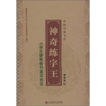 中国名家书法 神奇练字王：小学生硬笔楷书基本技法（附专用笔+笔芯+握笔矫正器）