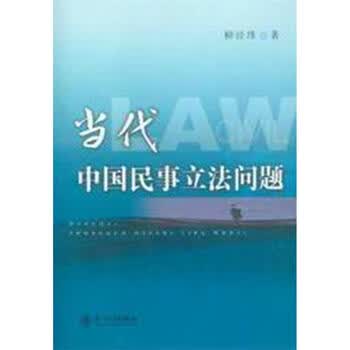 当代中国民事立法问题