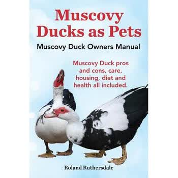 Muscovy Ducks as Pets. Muscovy Duck Owners M...