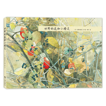 安野光雅-田野的花和小精灵（双螺旋童书）