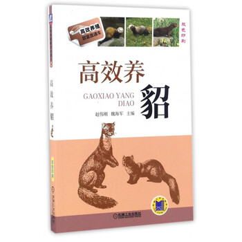 高效养貂(双色印刷)/高效养殖致富直通车