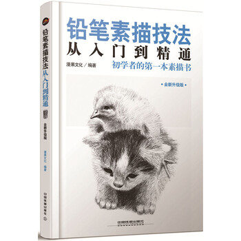 铅笔素描技法从入门到精通