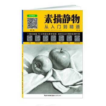 素描静物从入门到精通