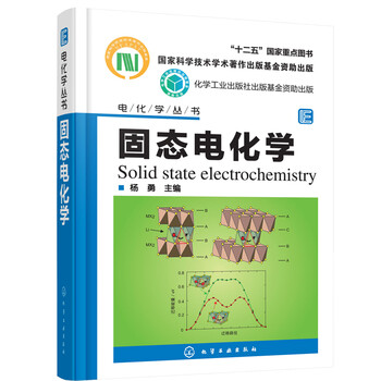 电化学丛书--固态电化学书籍 杨勇 