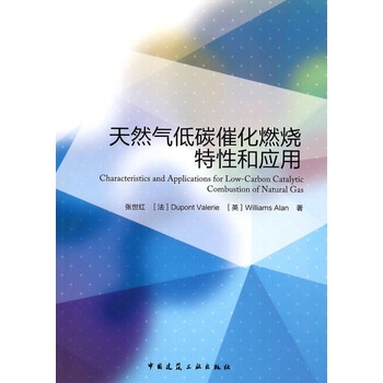 天然气低碳催化燃烧特性和应用