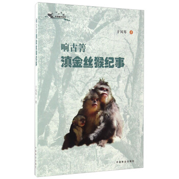 响古箐滇金丝猴纪事/天地精灵系列