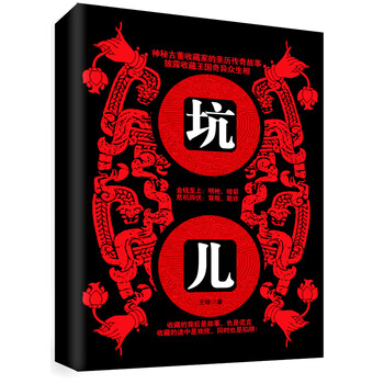 坑儿（长篇小说） 王晗北京联合现货速发
