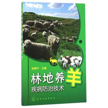 林地养羊疾病防治技术