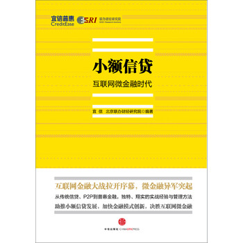 正版书籍 小额信贷：互联网微金融时代9787508646985