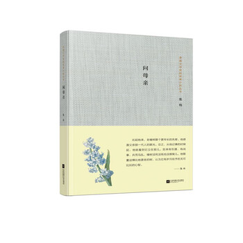 茅盾文学奖获奖者小说丛书：问母亲