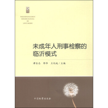 未成年人刑事检察的临沂模式